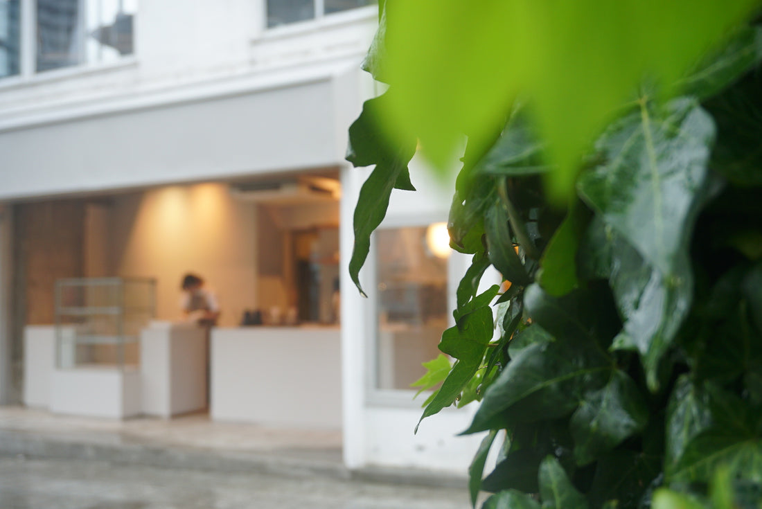 ROASTERY – HITACHINO COFFEE